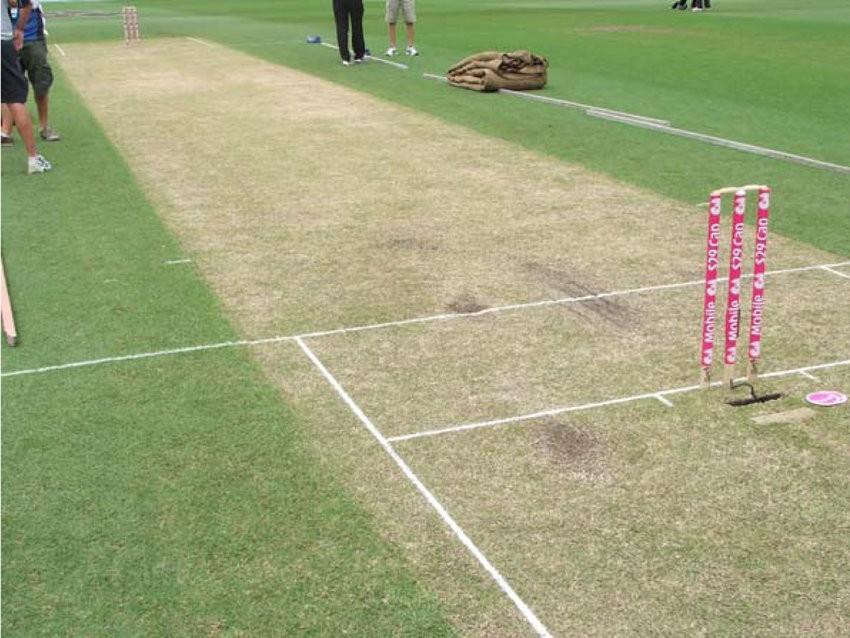 What Are The Dimensions Of A Cricket Pitch SportQuestion